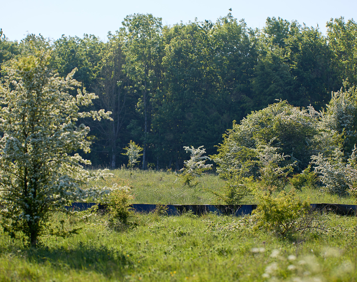 Kier awarded multiple sustainability accreditations | Kier Group plc ...