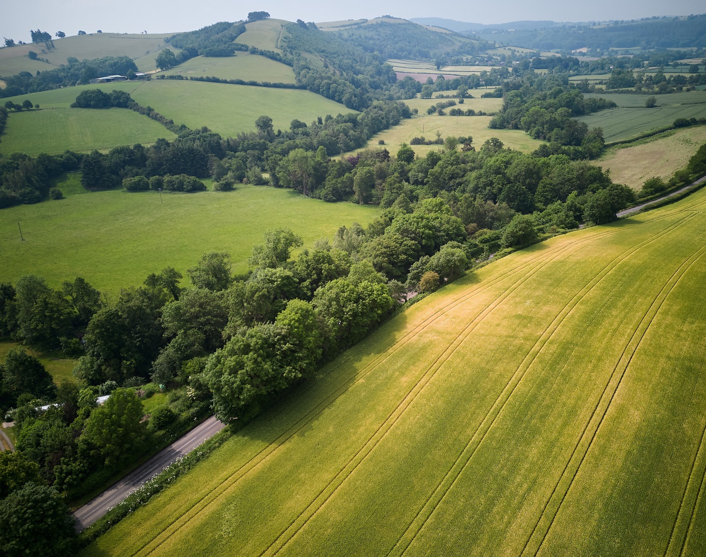 Green revenue | Kier Group plc (LSE: KIE)